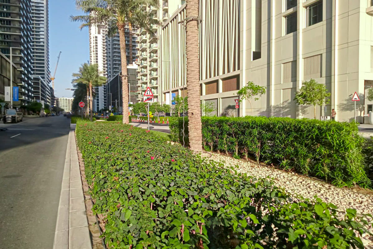 Landscaping - Miracle Gardening